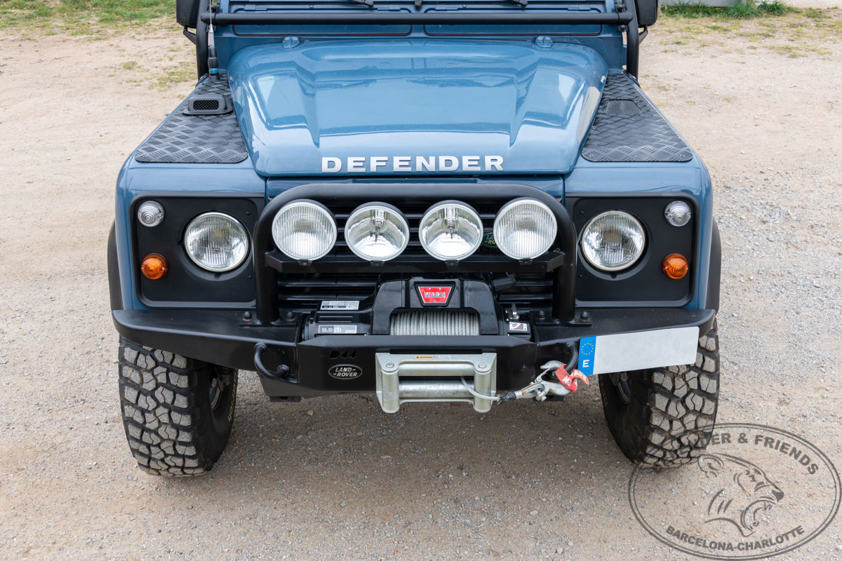 Defender D110 – Defender & Friends